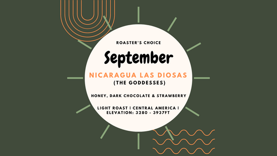 Bongo Java Roasting Co. - Organic & Better Than Fair Trade Coffee