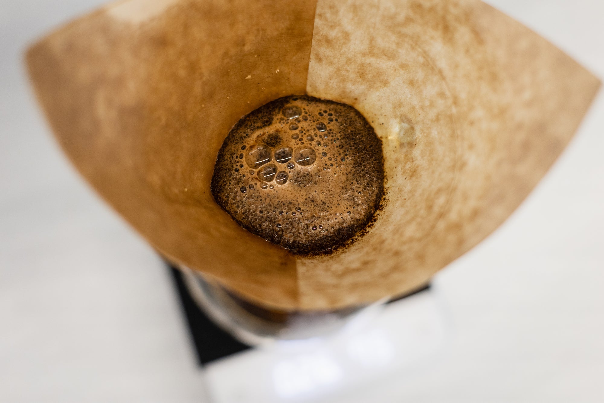 Bongo Java Roasting Co.