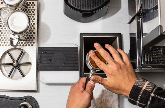 Bongo Java Roasting Co. - Organic & Better Than Fair Trade Coffee