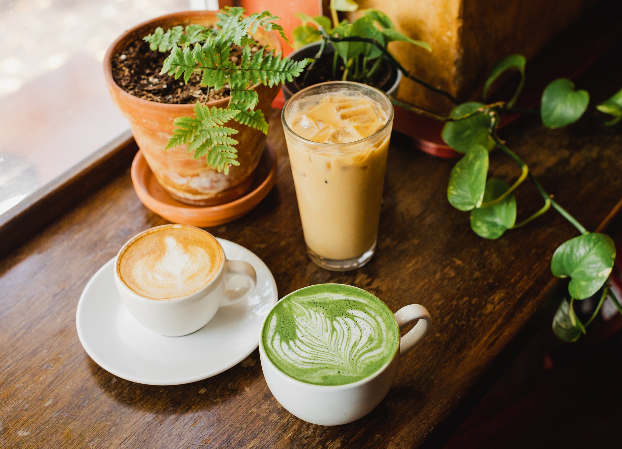 Fido | Bongo Roasting Co.