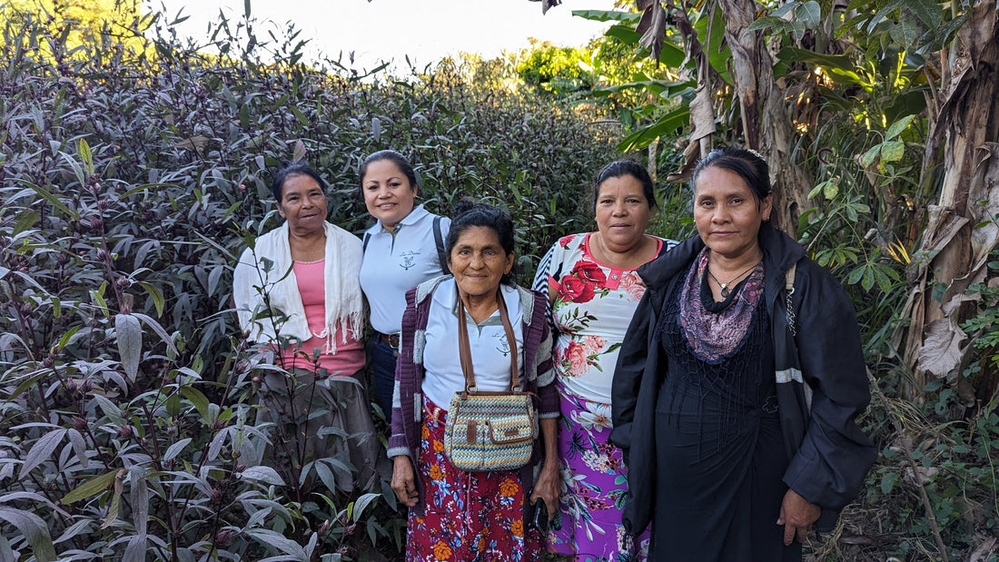 Bongo Java Roasting Co. - Organic & Better Than Fair Trade Coffee