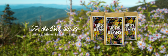 Bongo Java Roasting Co.